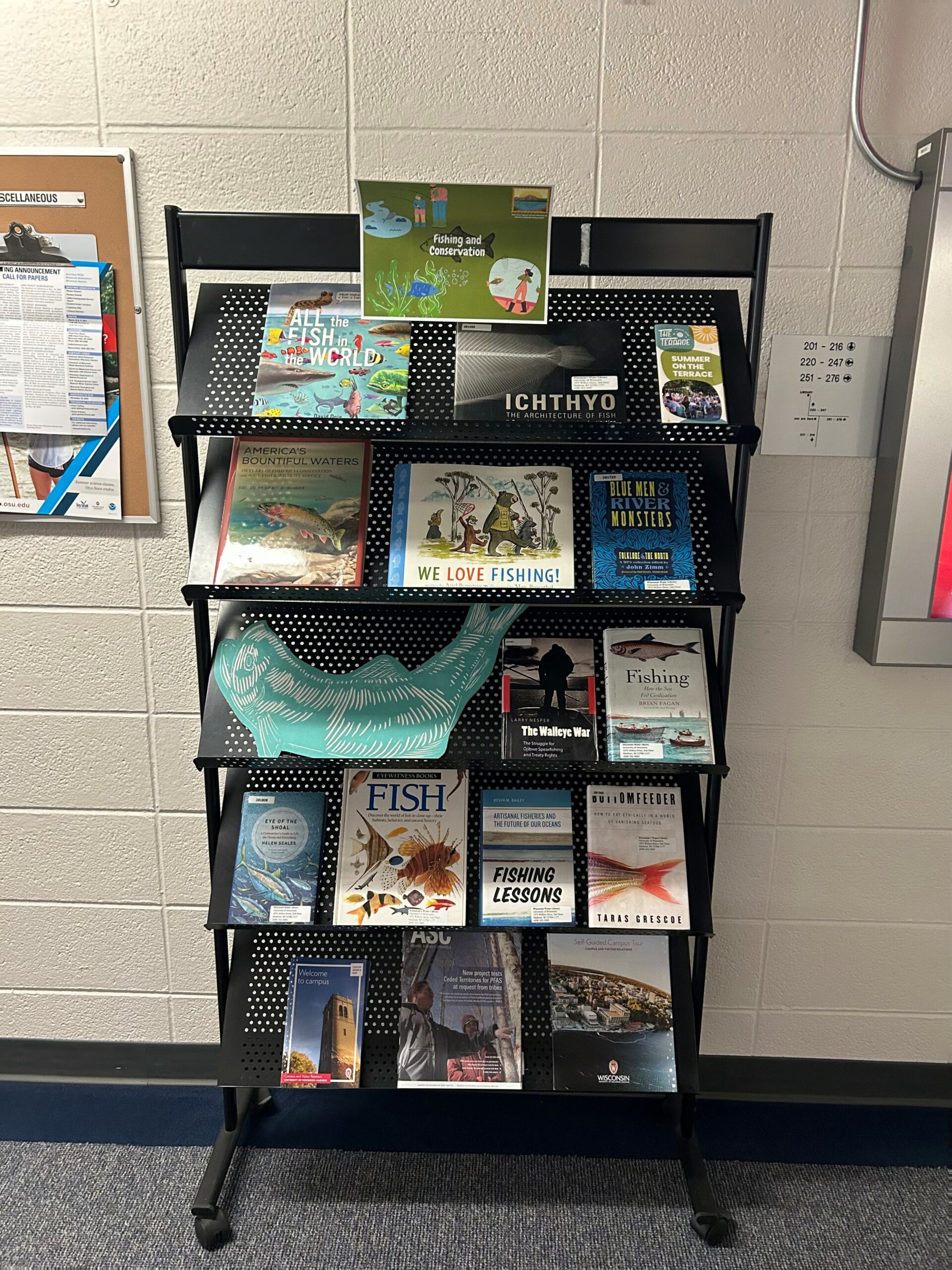 Reel in the Summer: Fishing and Conservation Book Display – Wisconsin ...